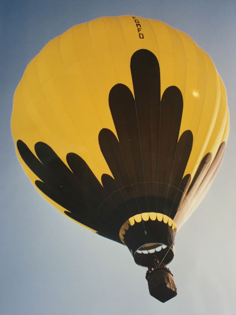 F-GMFD Raven Aerostar FS 57 A | Balloons4sale.eu