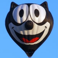 N1601 Cameron US N-77 Felix | Balloons4sale.eu